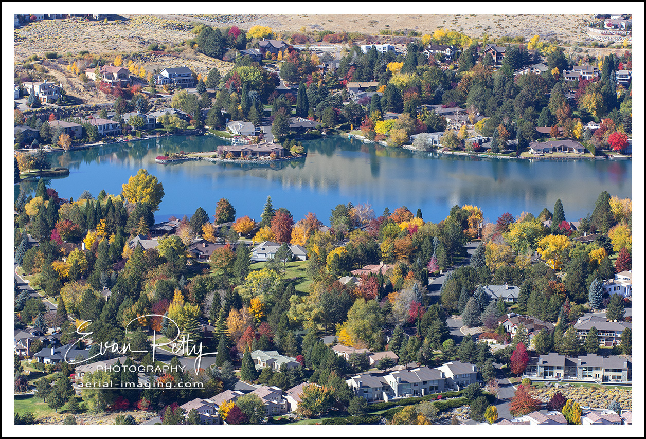 Reno Bright Fall Tree Colors | Drone & Aerial Photography